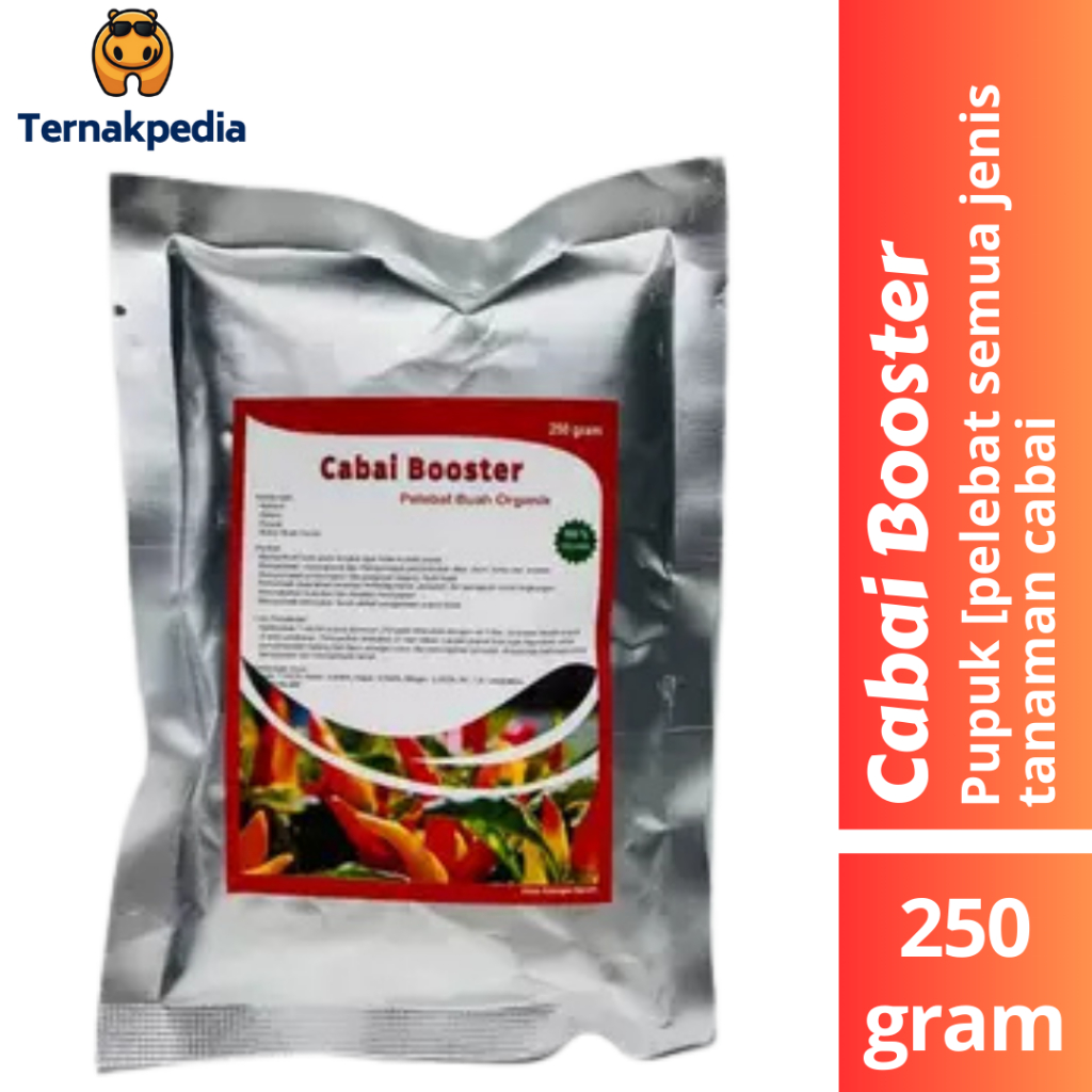 Jual Cabai Booster 250 gram - Pupuk Pelebat Cabai 250 gram - Suplemen Semua Jenis Cabai | Shopee ...