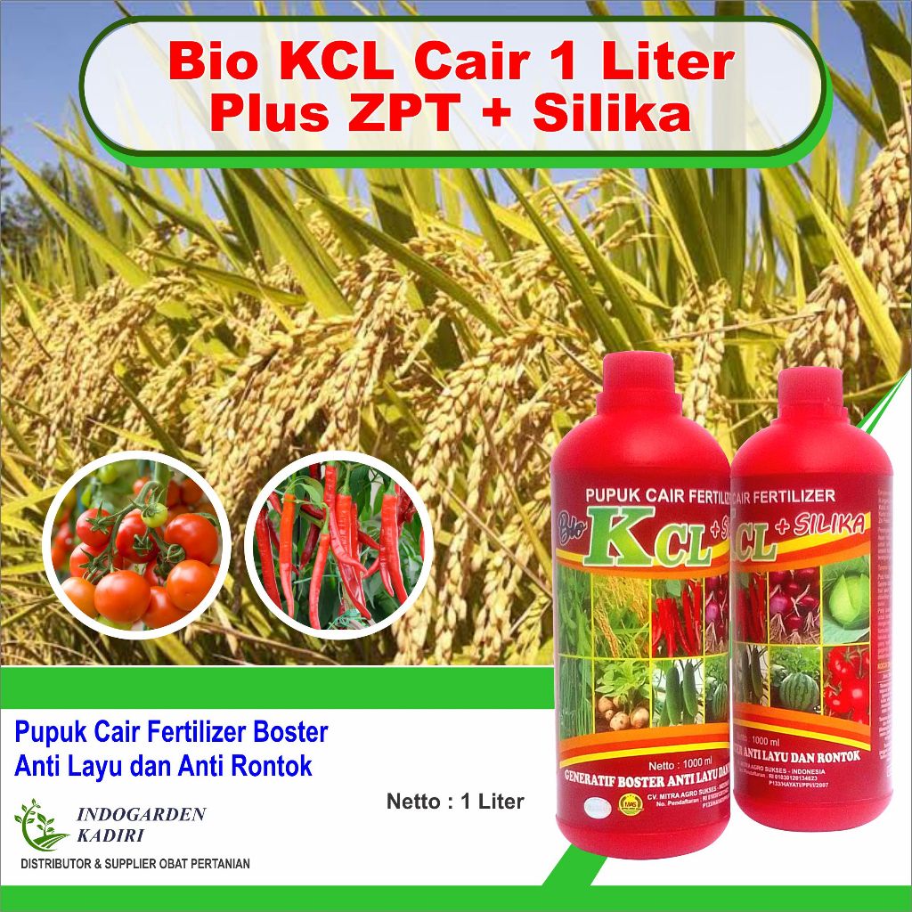 Jual Bio KCL Plus Silika Asli Pupuk Cair Original Kental ±1000 ml | Shopee Indonesia