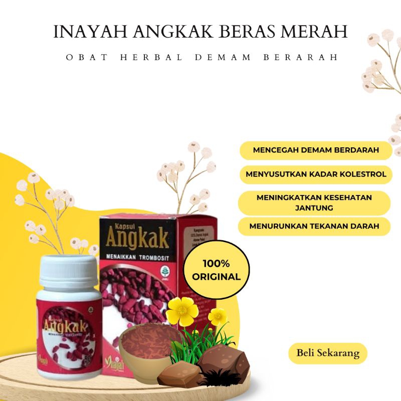 Jual Kapsul angkak merah obat meningkatkan trombosit darah dan DBD ...