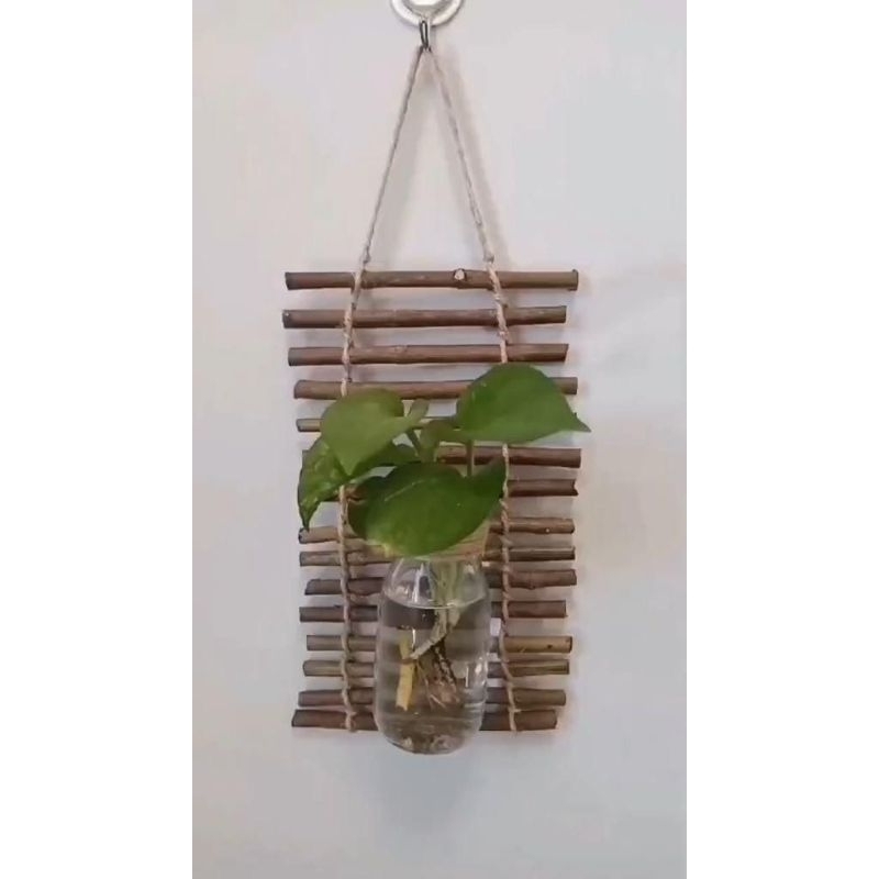 Jual Hiasan Ranting Dan Vas Tanaman Air Dari Botol Kaca//Vas Gantung ...