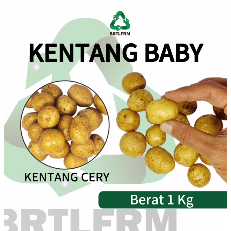 Jual KENTANG BABY/CERY FRESH 1 KG | Shopee Indonesia