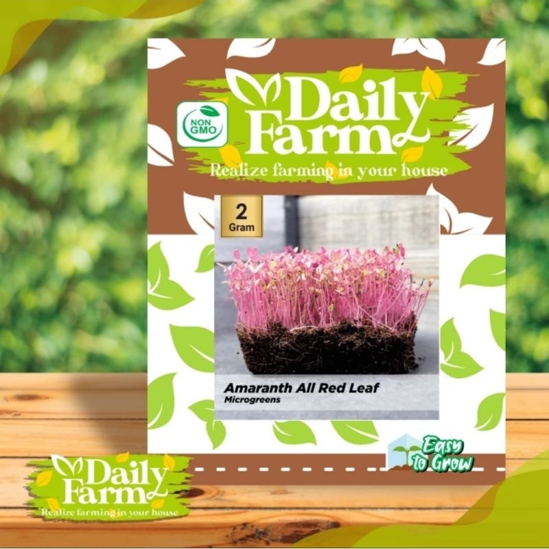 Jual Benih Sayur Microgreens / Amaranth All Red Leaf / Microgreen Bayam ...