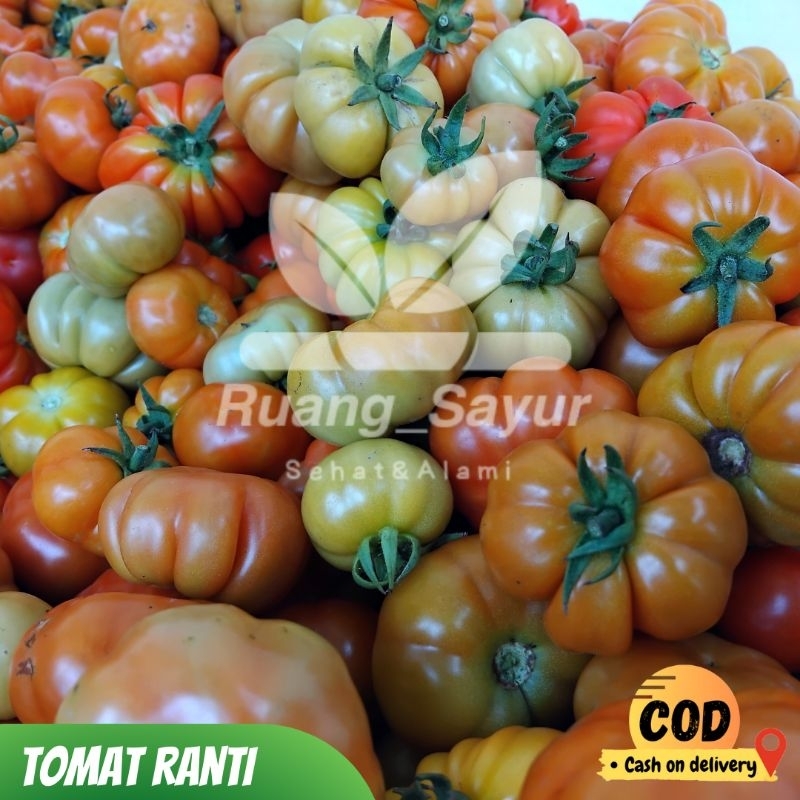Jual Tomat Ranti 1 Kg Tomat Ranti Khas Banyuwangi Tomat Mawar / Tomat Keriting | Shopee Indonesia