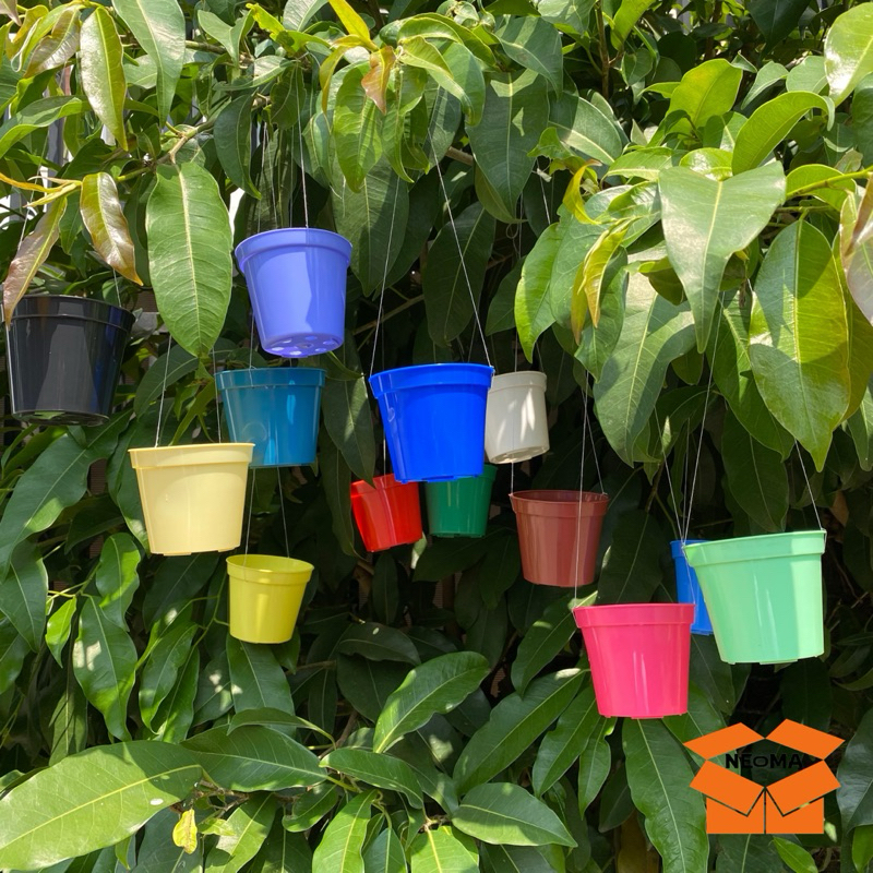 Jual Pot Bunga 8cm Pot Tanaman Pot Sukulen Pot Souvenir Neoma Plastindo ...