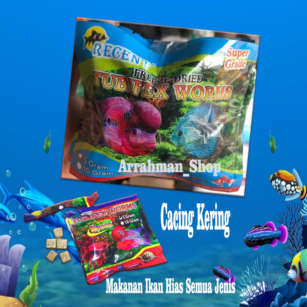Jual CACING Sutra KERING TUBIFEX WORMS 5GR Cacing Kering PAKAN Ikan ...