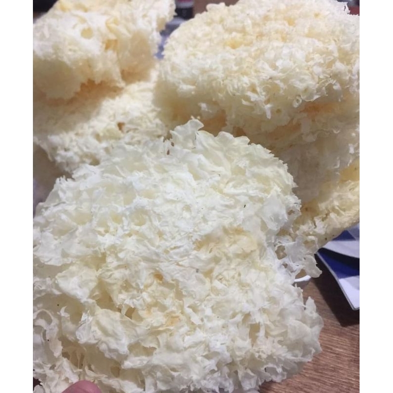 Jual Jamur salju kering 20gram bukan per buah halal snow fungus white ...