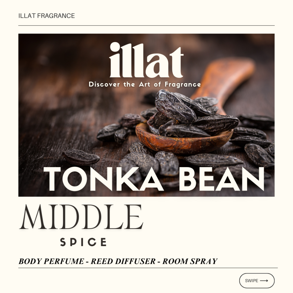 Jual Tonka Bean Fragrance Oil Perfume / Reed Diffuser by ILLAT ...