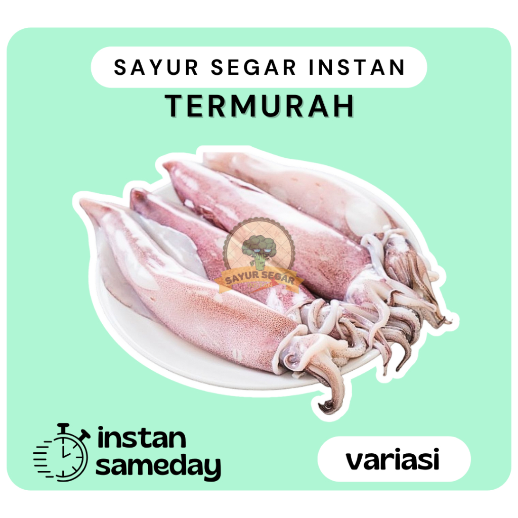 Jual Cumi Besar Segar - Sayursegarinstan | Shopee Indonesia