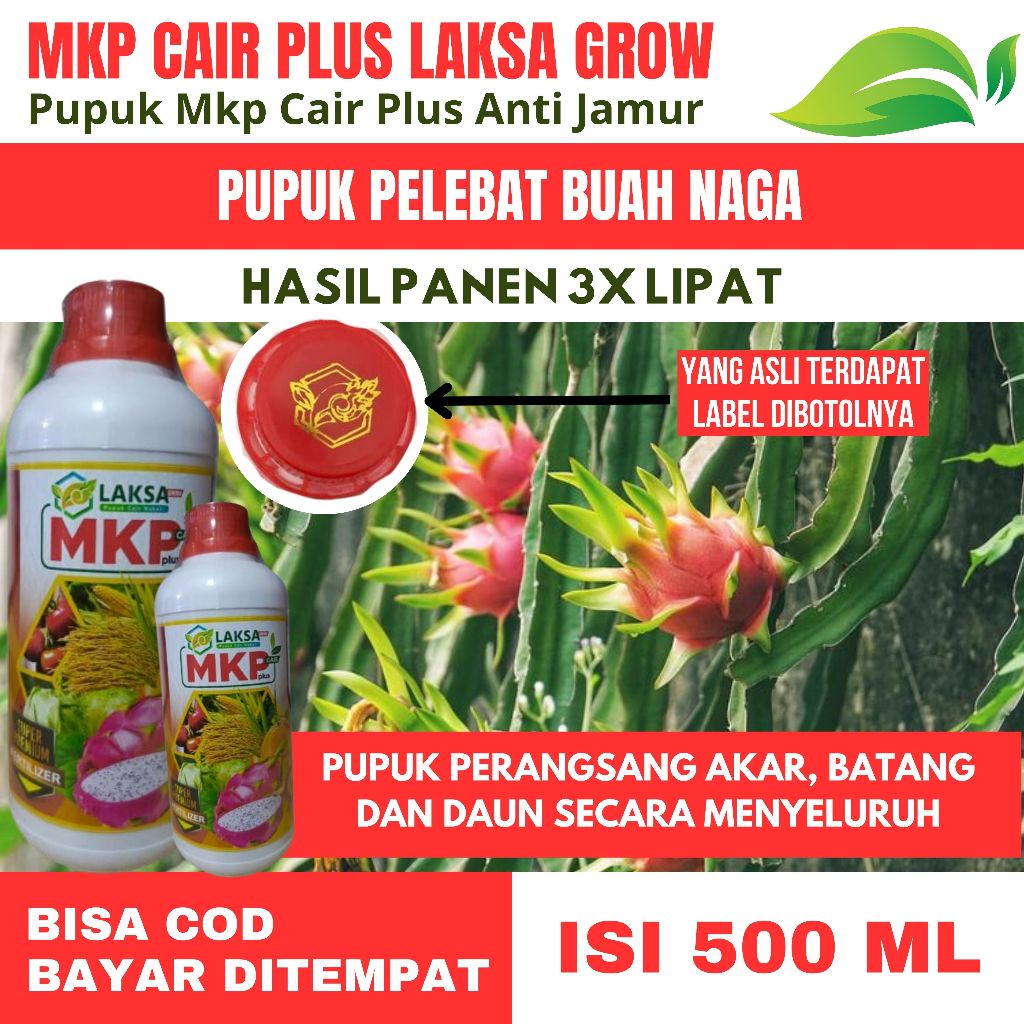 Jual PROMO COD Pupuk Pelebat Buah Naga dan Anti Rontok 500ml MKP Cair Plus LAKSA Grow | Shopee ...