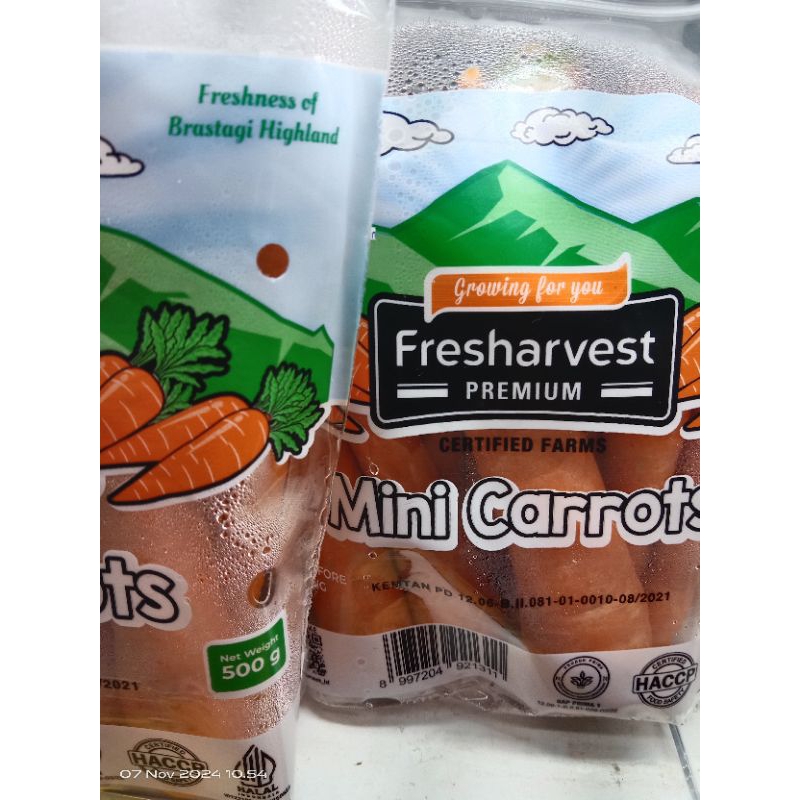 Jual Wortel mini (organik)/pack 500g | Shopee Indonesia