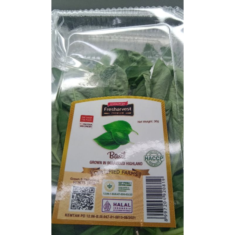 Jual Daun Basil/pack 30g | Shopee Indonesia