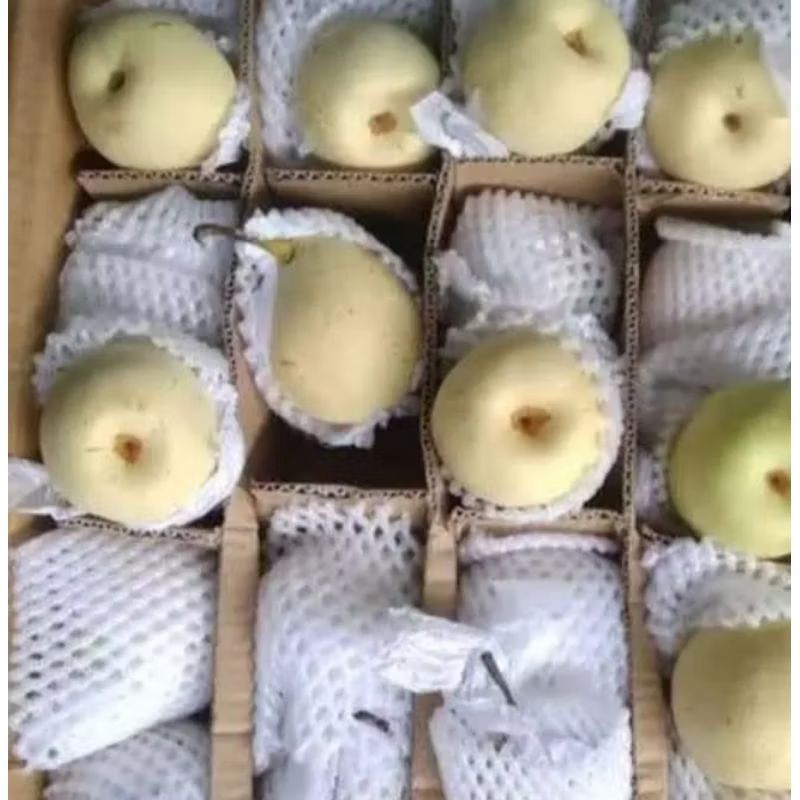 Jual Buah Pear Yali/Pear Yalie 1 kg | Shopee Indonesia