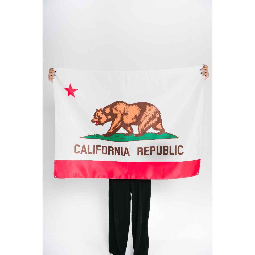 Jual California Republic Flag | Shopee Indonesia