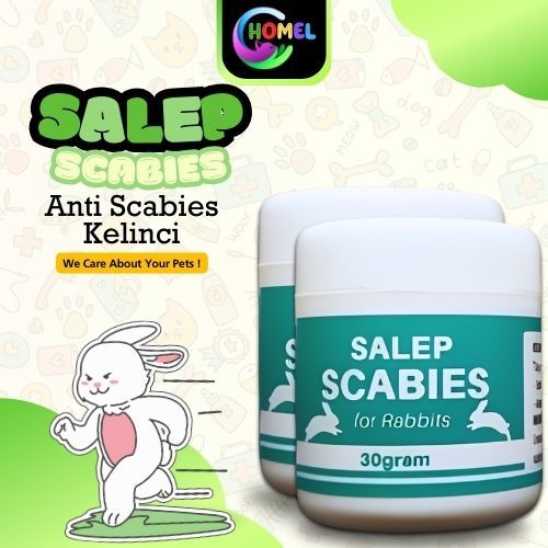 Jual Salep Scabies Solusi Mengatasi Scabies pada Kelinci dan Ampuh ...