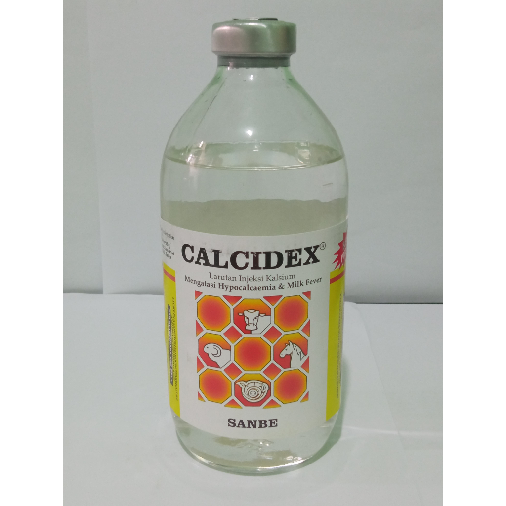 Jual Calcidex Sanbe 500 ml - Larutan Injeksi Kalsium Hewan Ternak Sapi ...