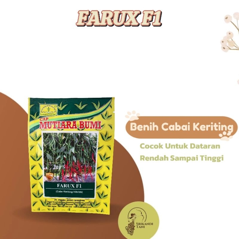 Jual Cabe Farux F1 10gr Buah Lebat Original Pabrik | Shopee Indonesia