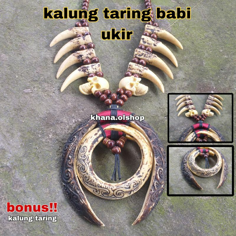 Jual Kalung Etnik Pria Rankaian Taring Babi Dan Taring Macan Adat Dayak Kalimantan Jimat Replika ...