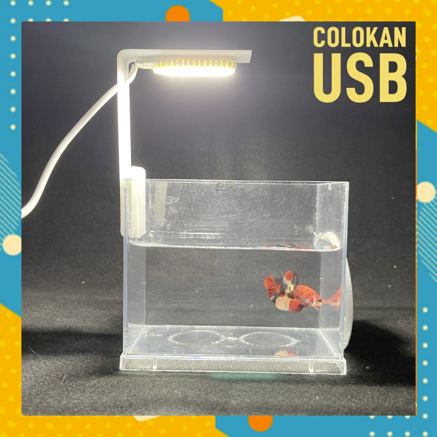 Jual Lampu SOLITER Cupang Lampu Toples Cupang Aquarium Mini Menggunakan ...