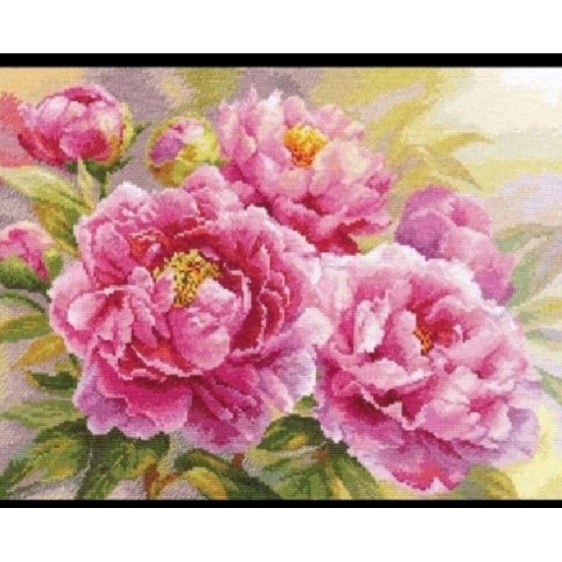 Jual DIY Paket kristik bunga mawar pink peoni full cross stitch dmc ...