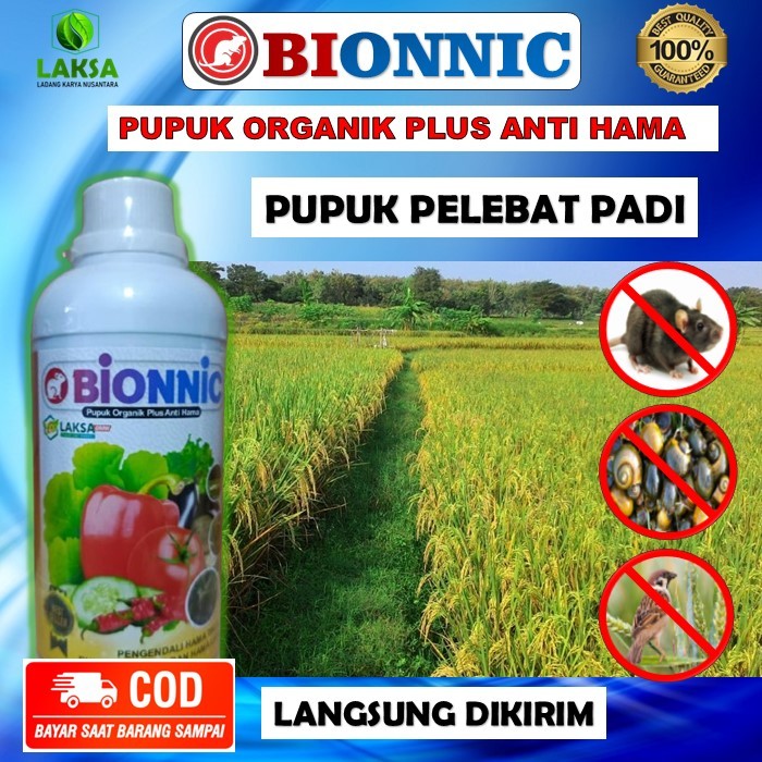 Jual obat semprot pelebat padi plus anti hama - Bionnic pupuk organik ... Jual obat semprot pelebat padi plus anti hama - Bionnic pupuk organik ...