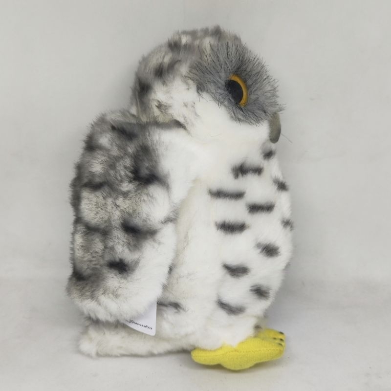 Jual Boneka Burung Hantu/Owl (S) | Shopee Indonesia