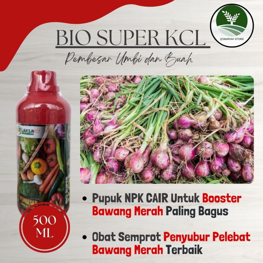 Jual Terlaris pupuk booster bawang merah terbaik - BIO SUPER KCL - Pupuk untuk meleatkan bawang ...