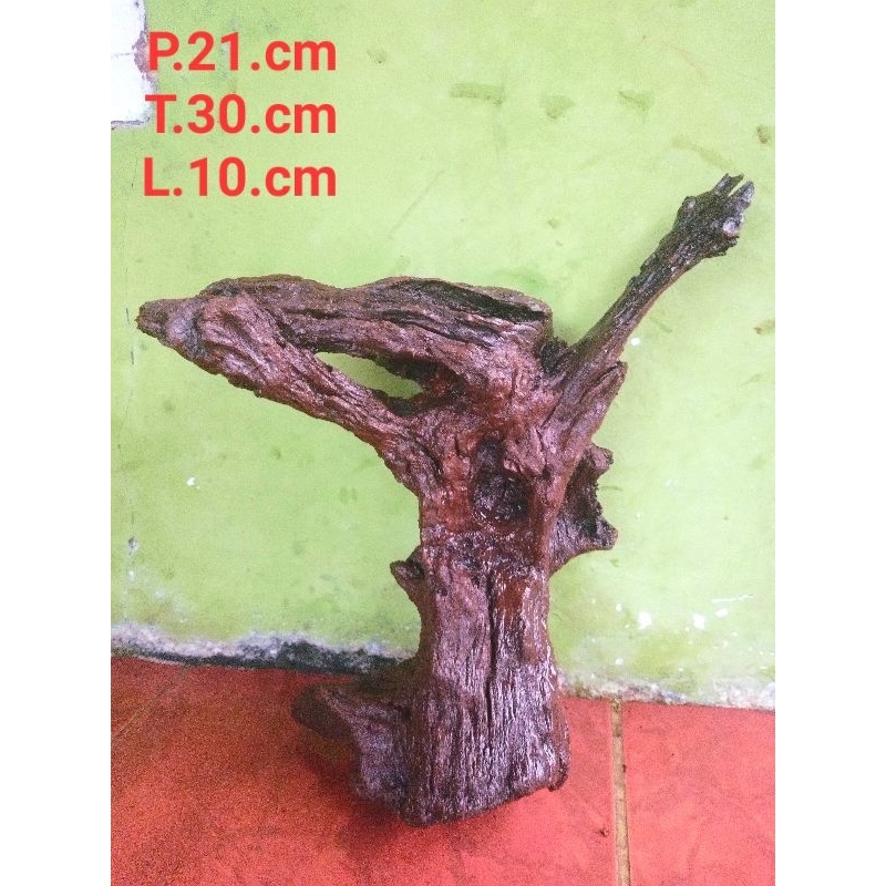 Jual rentek kayu santigi akuascape | Shopee Indonesia