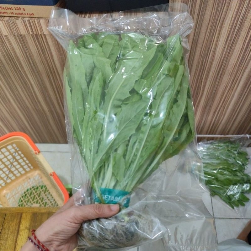 Jual Siomak / selada wangi /sayur pandan Hidroponik 280-350gr | Shopee ...