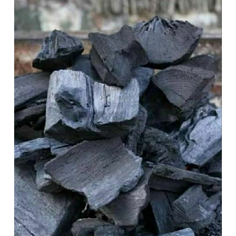 Jual Arang kayu untuk media tanam anggrek | Shopee Indonesia