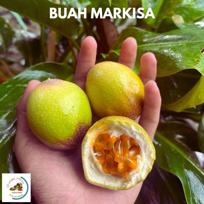 Jual Buah Markisa Kuning Segar Fresh | Shopee Indonesia