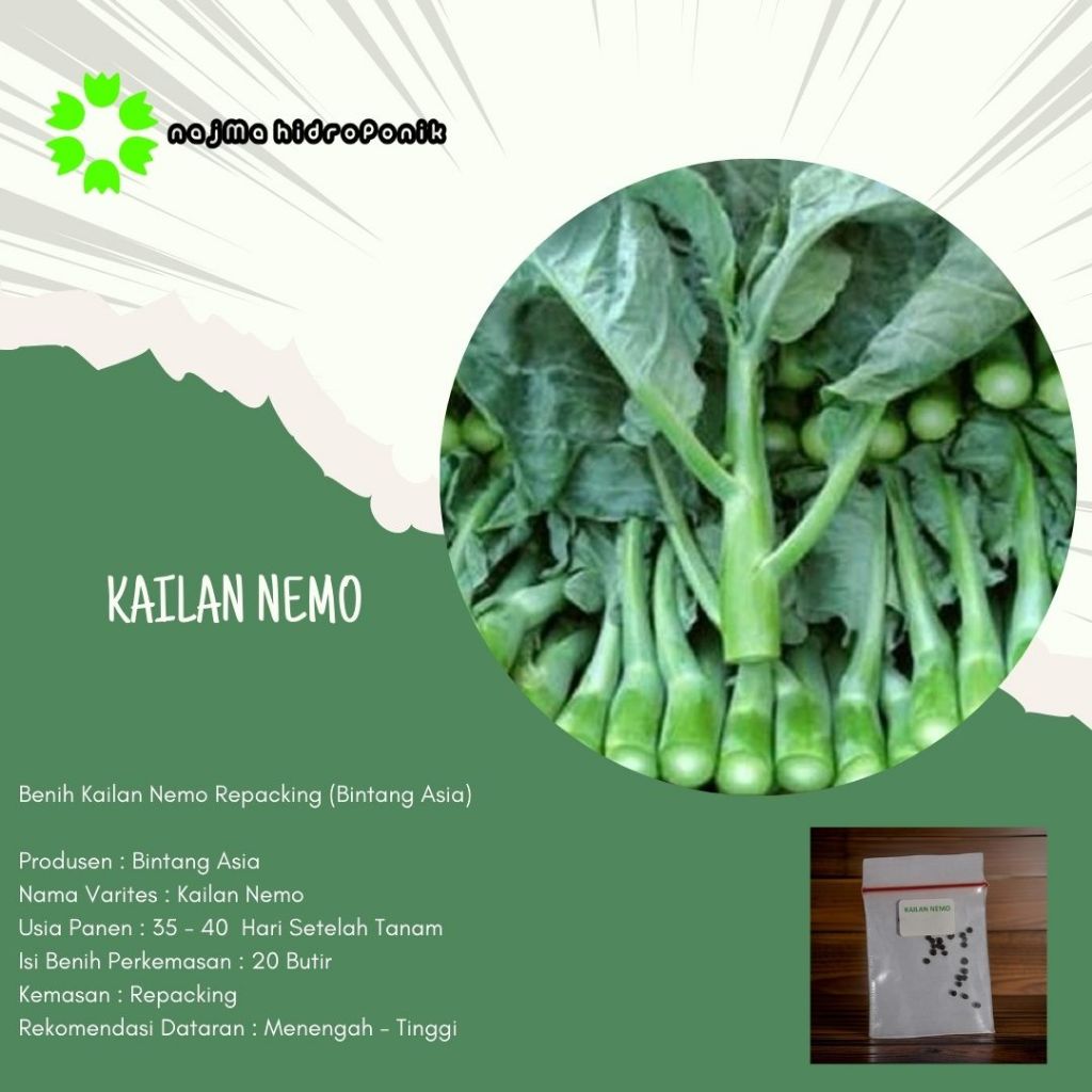Jual 20 Butir Benih Kailan Nemo Repacking (Bintang Asia) | Shopee Indonesia