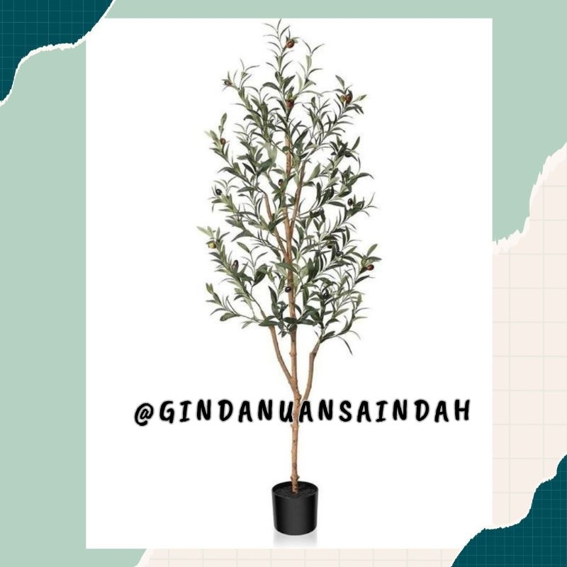 Jual Pohon Olive Tree - Pohon Olive Tree Zaitun Artificial 120 Cm ...