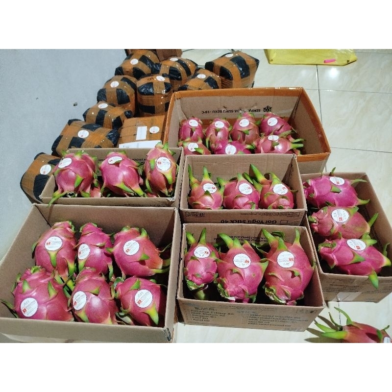 Jual BUAH NAGA PUTIH || 3.KG buah naga putih asli muria | Shopee Indonesia