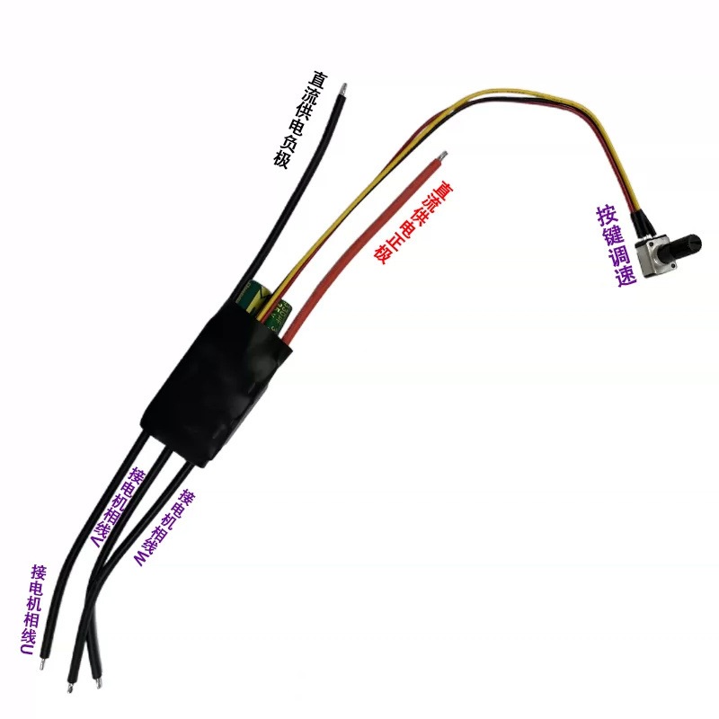 Jual ESC Module Driver Brushless BLDC PLC 12V - 24Volt 250 Watt ...