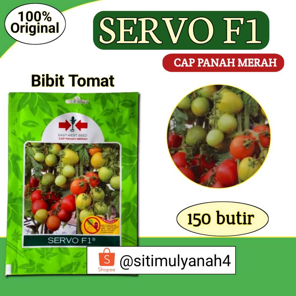 Jual Benih Tomat SERVO F1 isi 150 butir kemasan pabrik cap panah merah ...