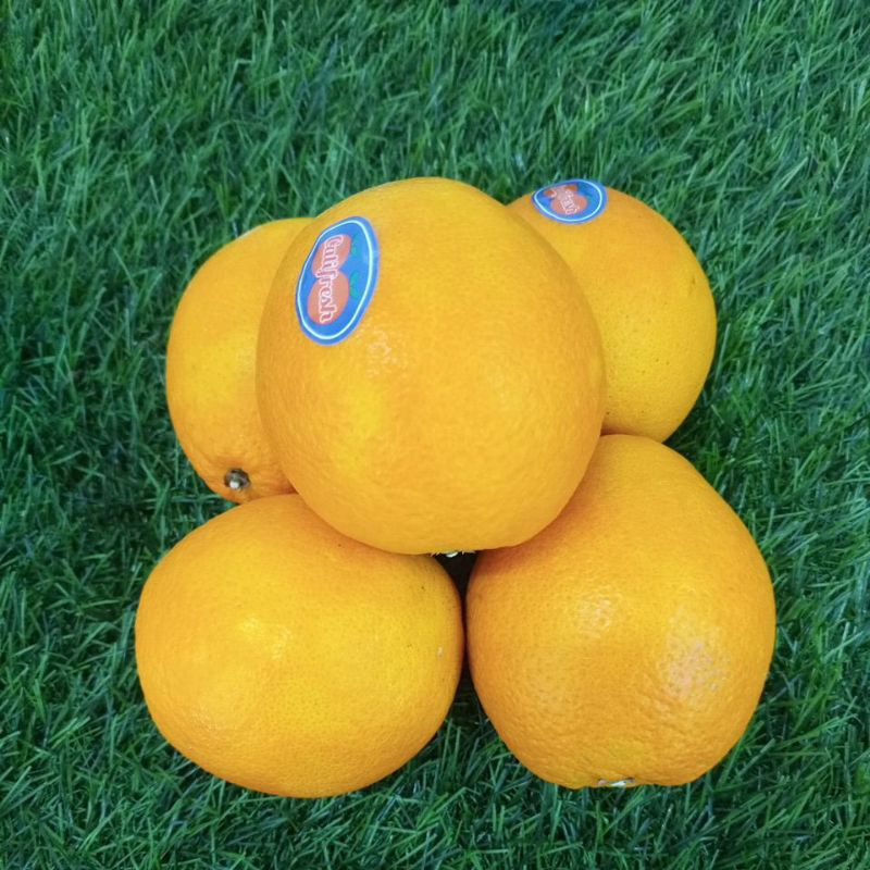 Jual Buah Jeruk Sunkist Navel Valencia 190 G Satuan | Shopee Indonesia