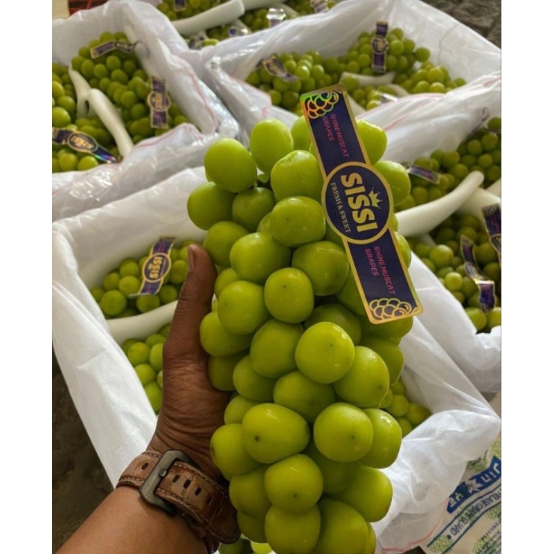 Jual BUAH ANGGUR MUSCAT | Shopee Indonesia