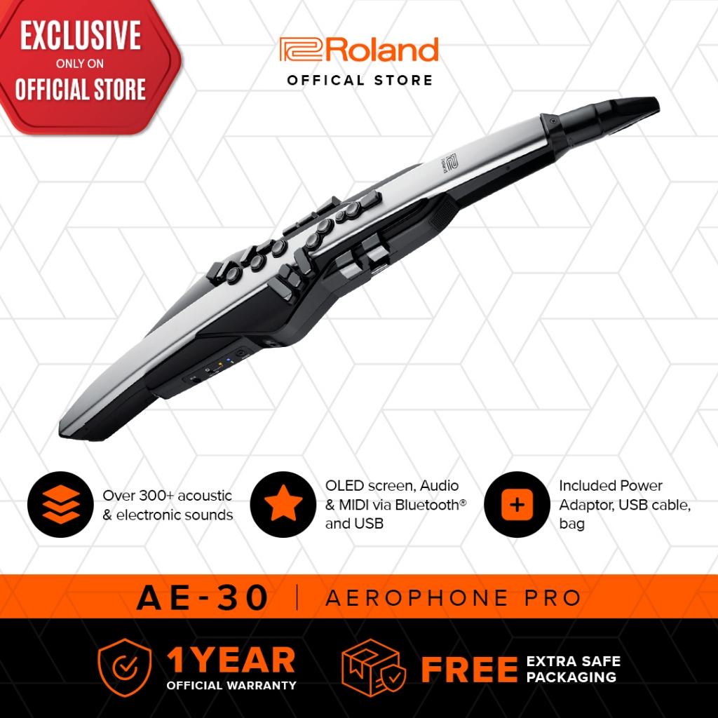Jual Roland AE-30 Aerophone Pro Digital Wind Instrument | Shopee Indonesia