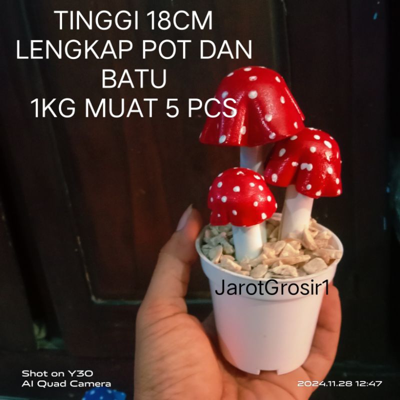 Jual BUNGA HIAS MEJA JAMUR LENGKAP POT DAN BATU TINGGI 18CM | Shopee Indonesia