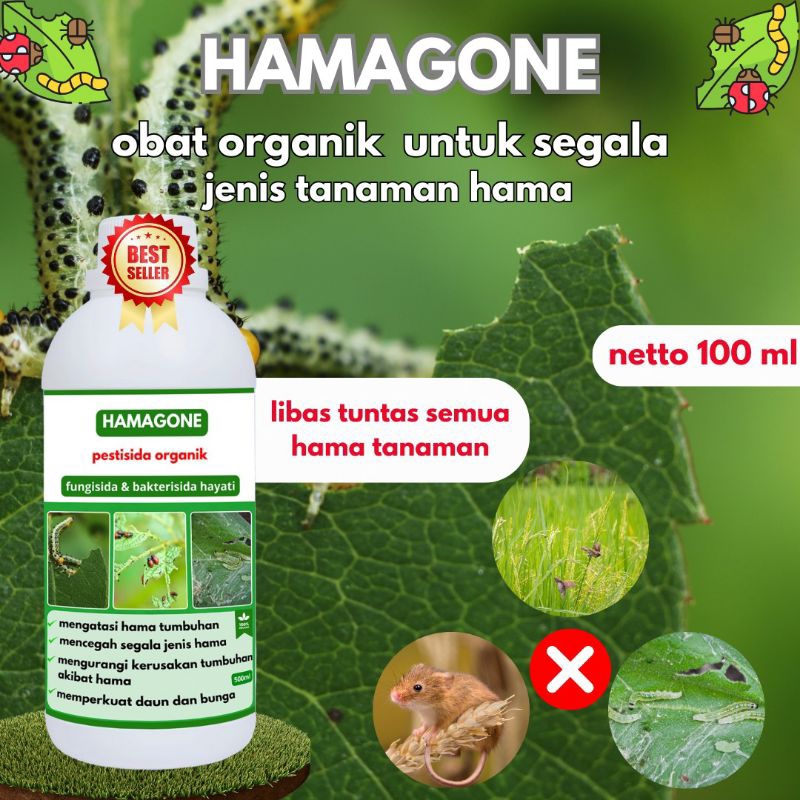 Jual OBAT HAMA ULAT PADI SUNDEP BELUK 500 ML HAMAGONE - Obat Hama Padi ...
