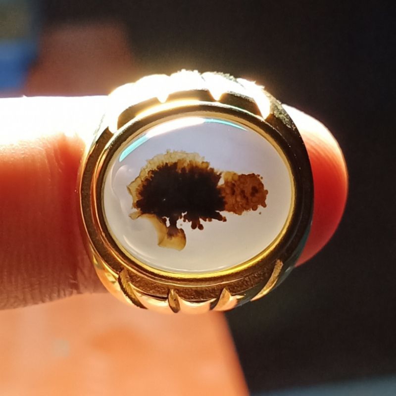 Jual Kolektor Item - Batu Kristal Gambar Kura Kura - Dendrite Crystal ...