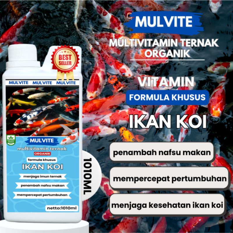 Jual MULVITE IKAN KOI Vitamin Ikan KOI, Cepat Besar, Penambah Napsu Makan, anti parasit, panen ...