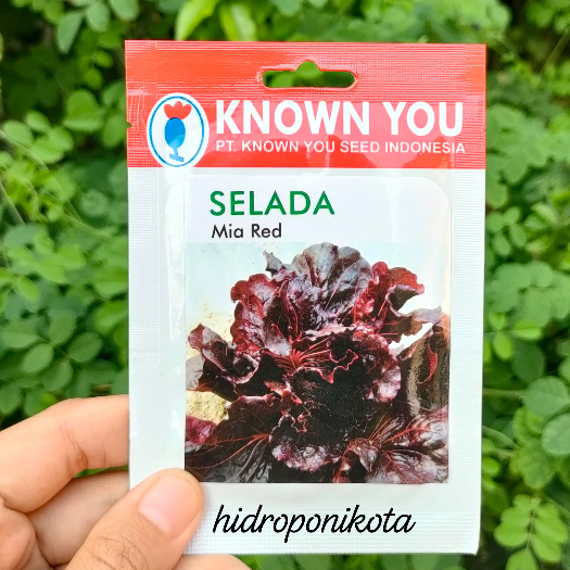 Jual KYS - Benih Selada Merah Mia Red 5 gram - Merk Known You Seed | Shopee Indonesia
