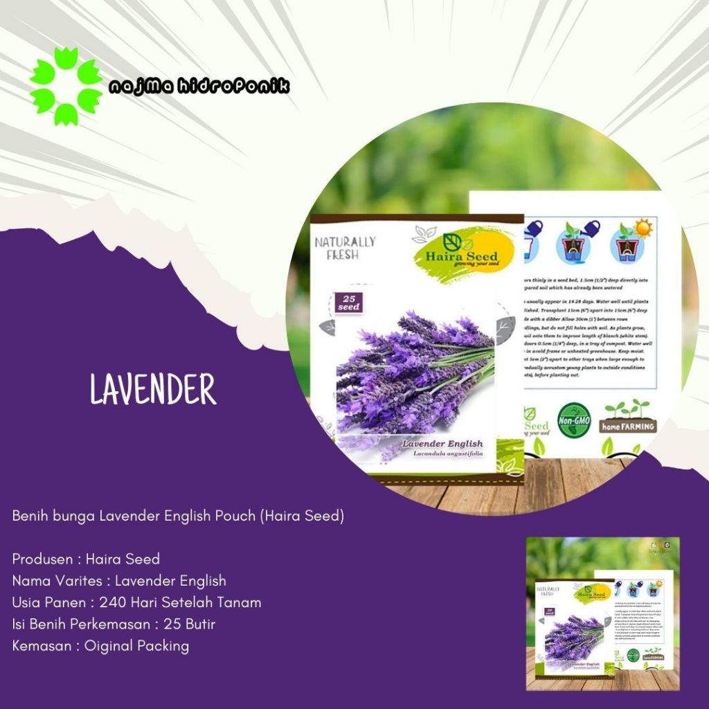 Jual Benih Bunga Lavender English Pouch (Haira Seed) | Shopee Indonesia