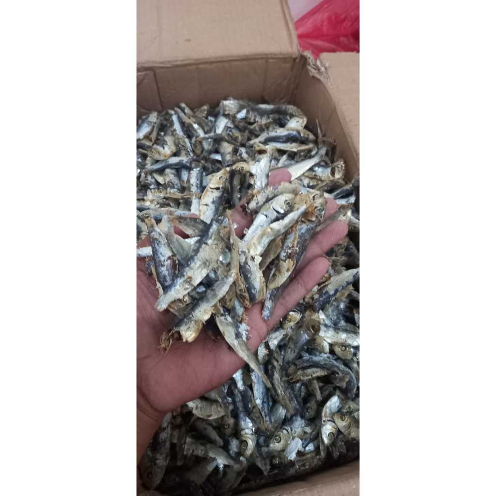 Jual COD ikan asin ninis rebus tanjan 1 kg super murah | Shopee Indonesia