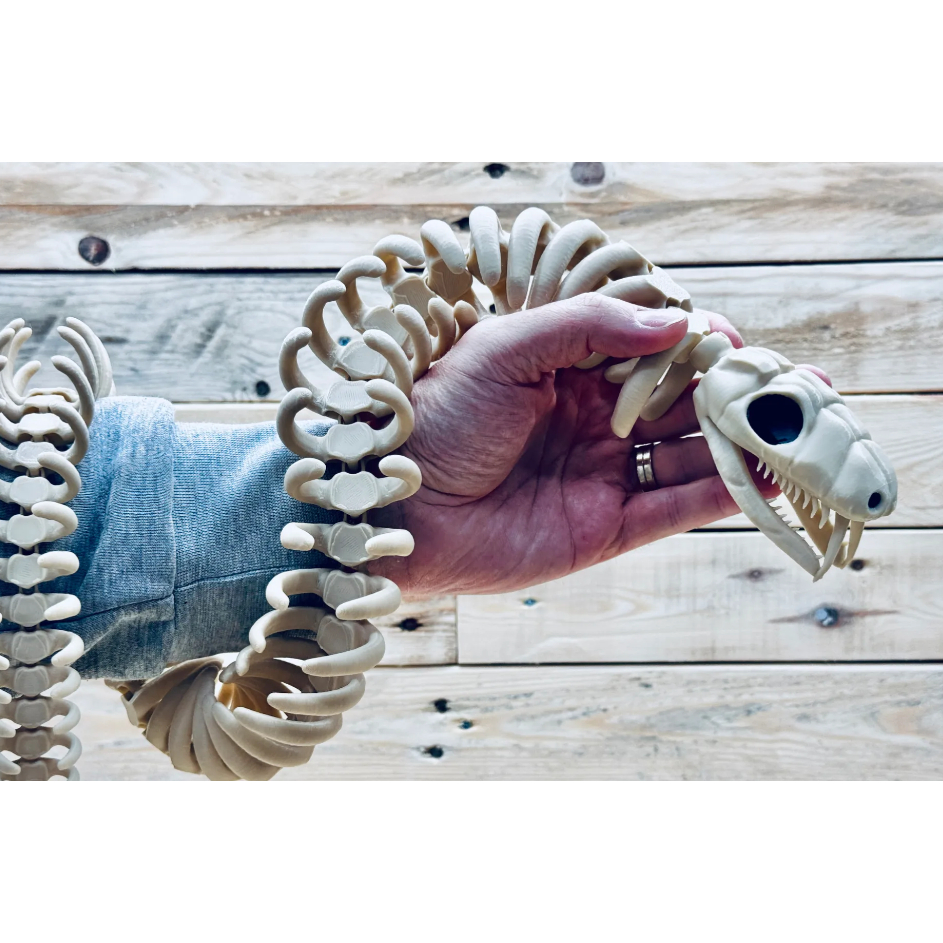 Jual Cuero Mainan Ular Mainan Bone Snake Skeleton Toykids panjang 73 cm ...