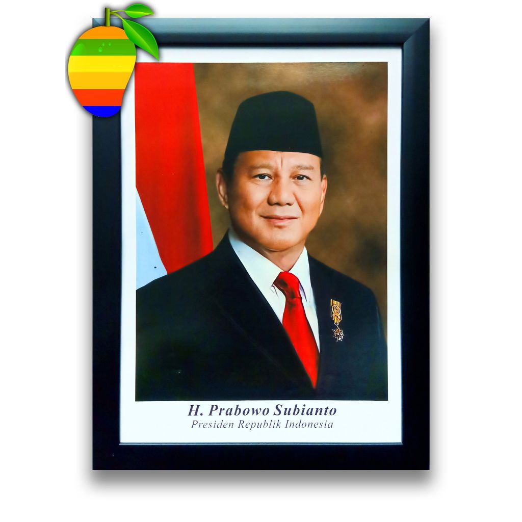 Jual PIGURA FOTO PRESIDEN DAN WAKIL PRESIDEN 10RS | Shopee Indonesia
