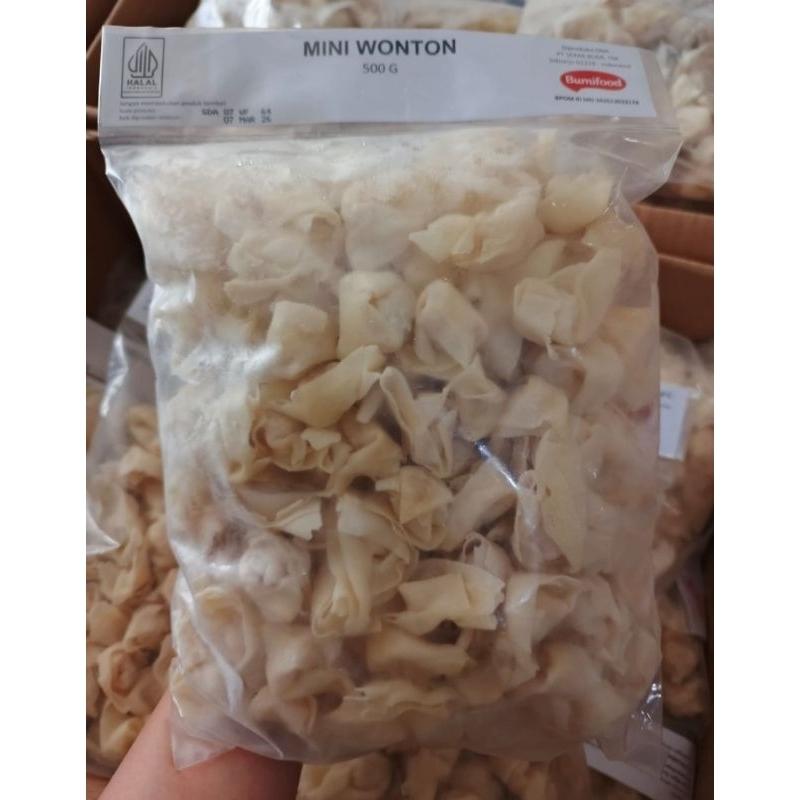 Jual Bumi Food Mini Wonton / Pangsit Mini / Snack XXI Premium| Berat ...