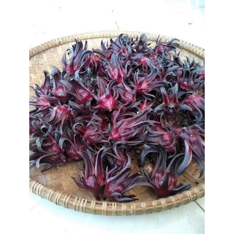 Jual Rosella Ungu 500 gram/ Bunga Rosella Ungu premium/ Teh bunga ...