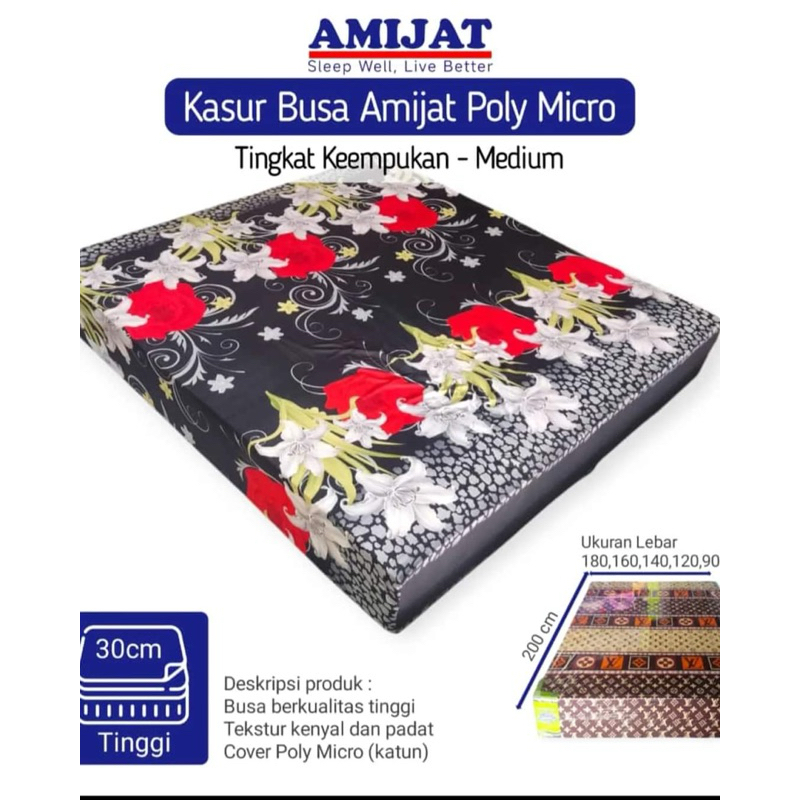 Jual Sabchan Busa Limbah Inoac | Shopee Indonesia